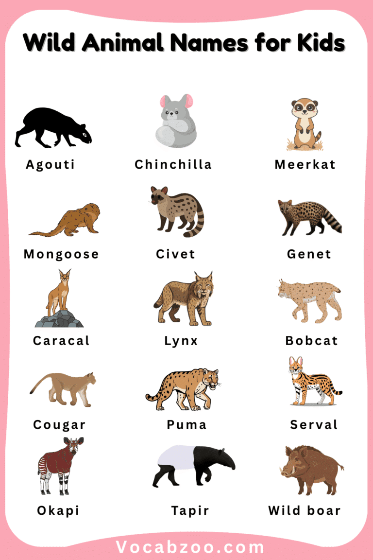 Wild Animal Names for Kids in English with Pictures - Vocabzoo
