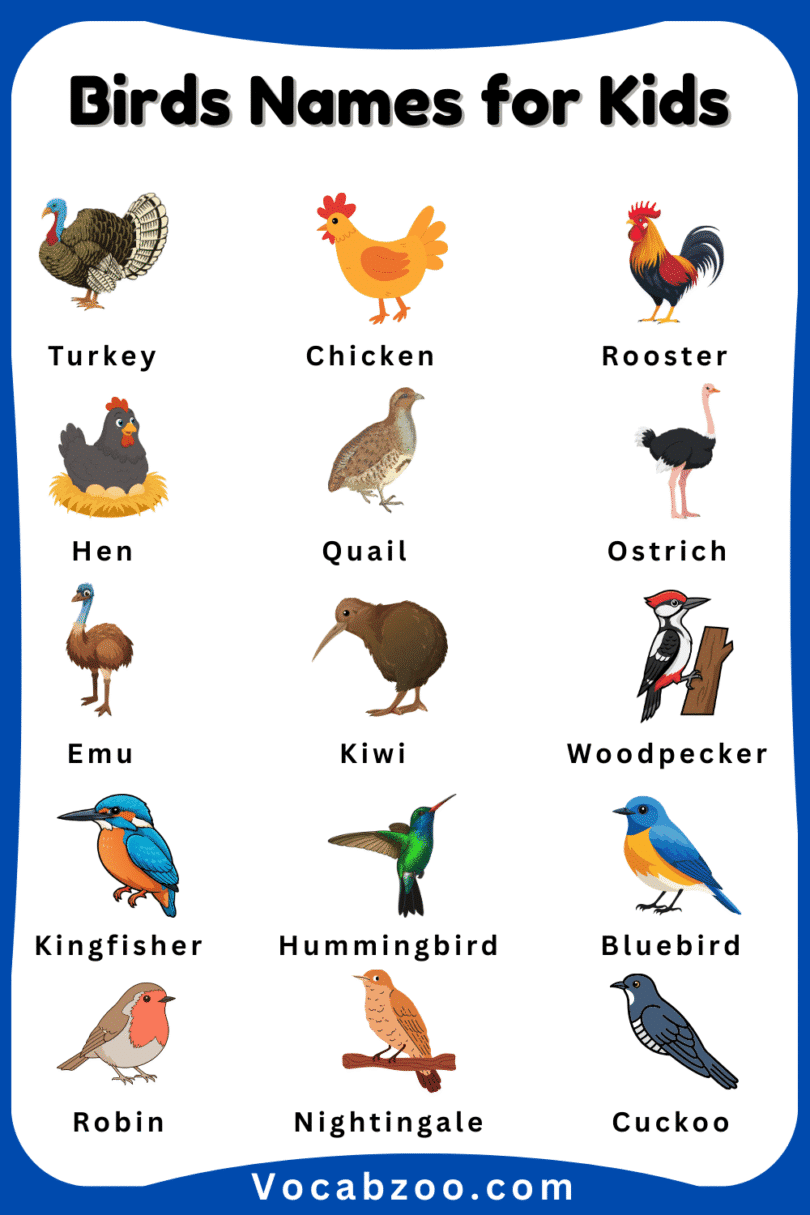 Bird Names for Kids in English with Pictures - Vocabzoo