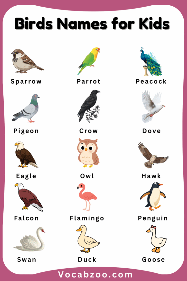 Bird Names for Kids in English with Pictures - Vocabzoo
