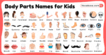 Body Parts Names for Kids in English with Pictures - Vocabzoo
