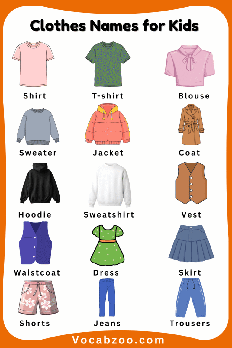 Clothes Names for Kids in English with Pictures - Vocabzoo