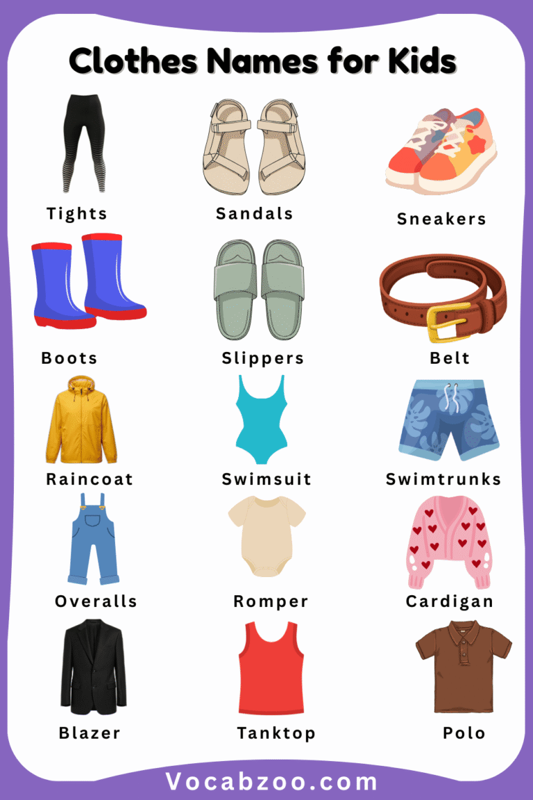 Clothes Names for Kids in English with Pictures - Vocabzoo