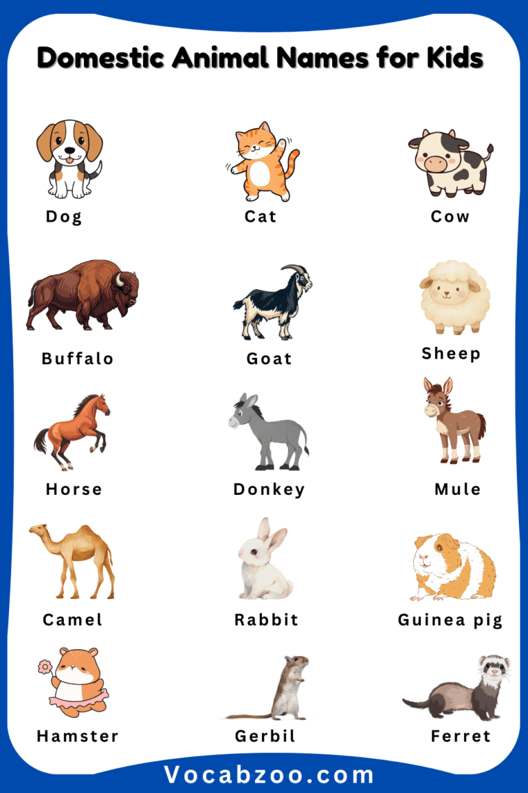 Domestic Animal Names for Kids in English with Pictures - Vocabzoo