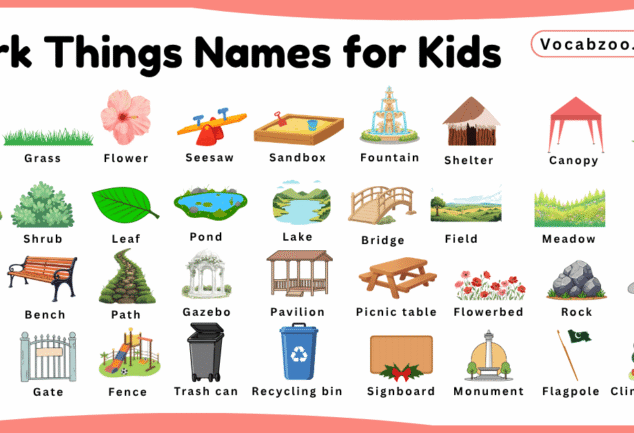 30 Common Types of Tableware Names and Pictures