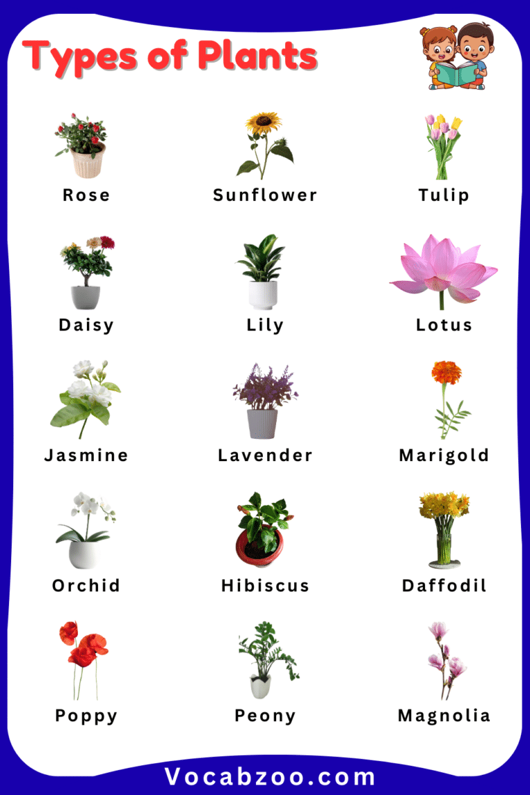 Plants Names for Kids in English with Pictures - Vocabzoo