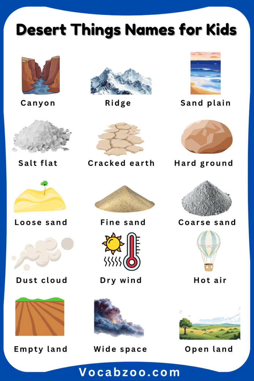 Desert Things Names for Kids in English with Pictures - Vocabzoo
