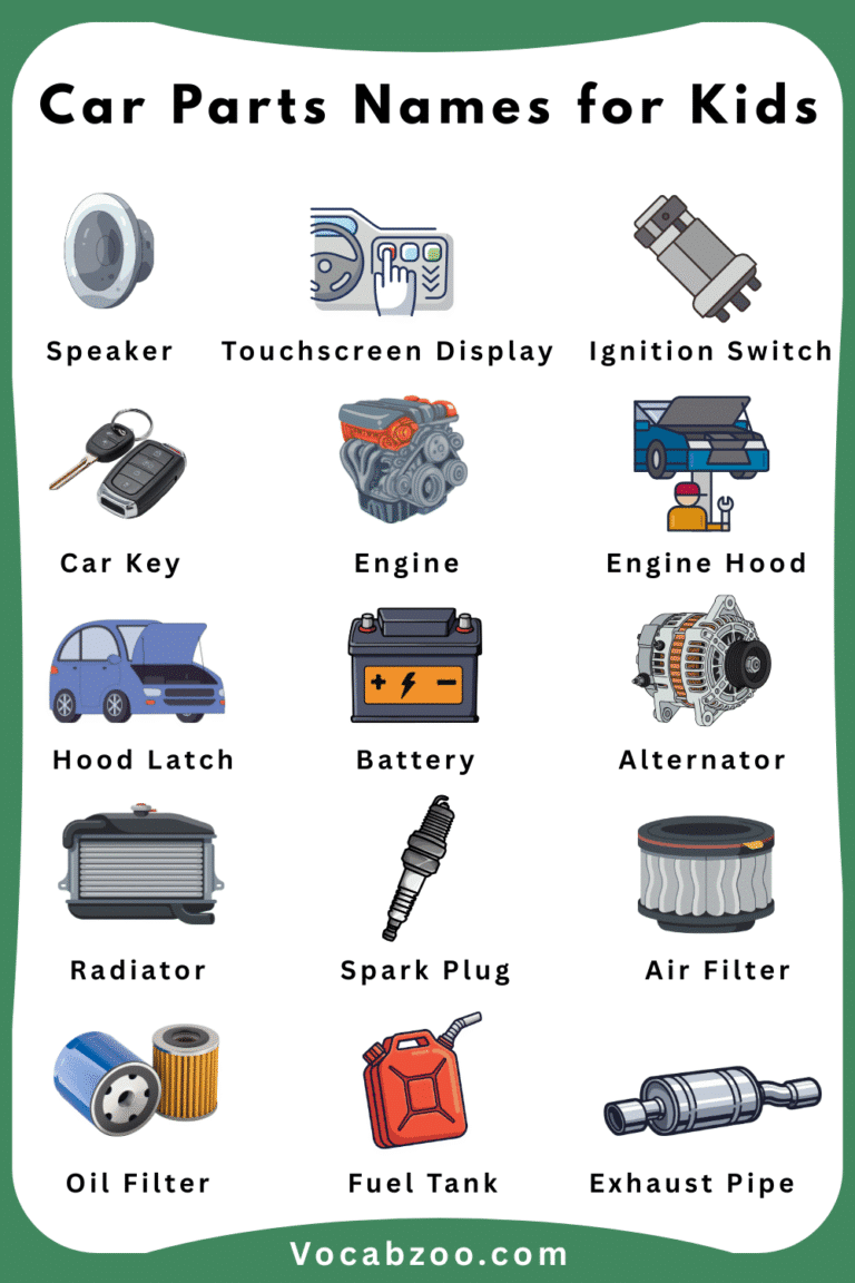 Car Parts Names for Kids in English with Pictures - Vocabzoo