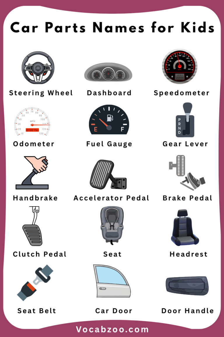 Car Parts Names for Kids in English with Pictures - Vocabzoo